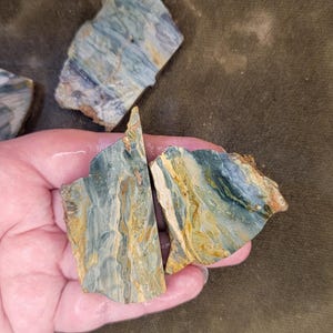 4 Fossil Gary Green / Larsonite Slabs - Etsy