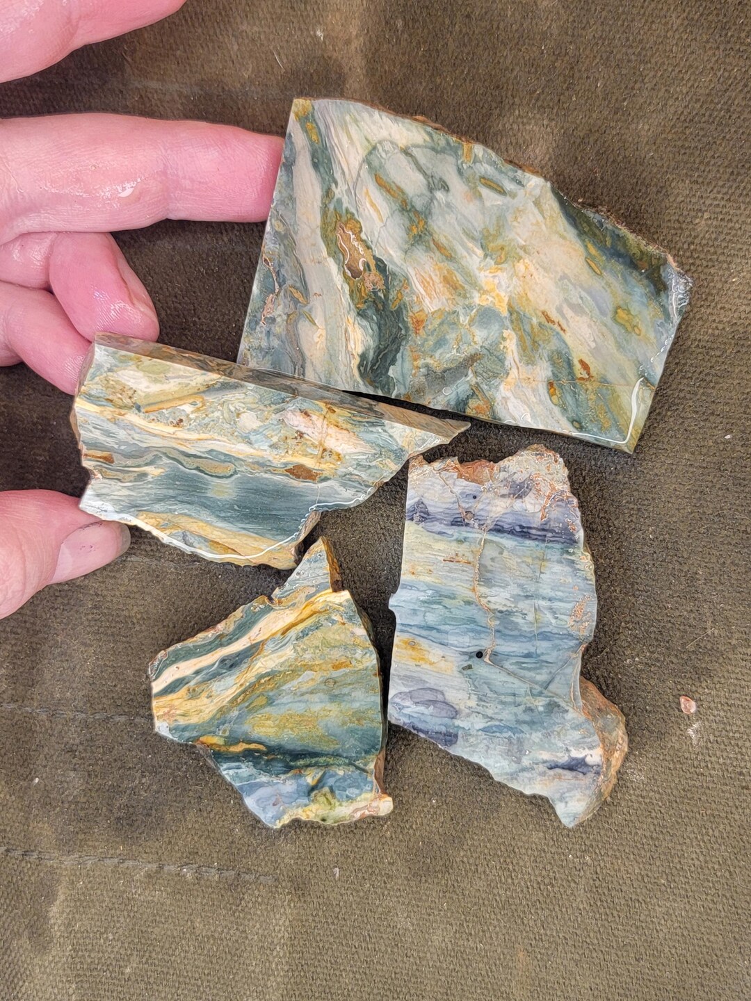 4 Fossil Gary Green / Larsonite Slabs - Etsy