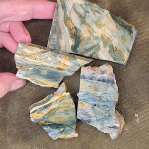 4 Fossil Gary Green / Larsonite Slabs - Etsy
