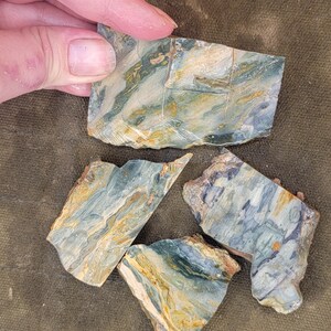 4 Fossil Gary Green / Larsonite Slabs - Etsy