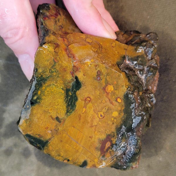 4 Fossil Gary Green / Larsonite Slabs - Etsy