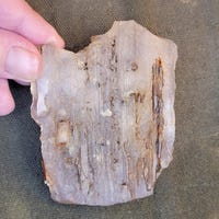 Striking Limb Cast With Jasper* - Etsy