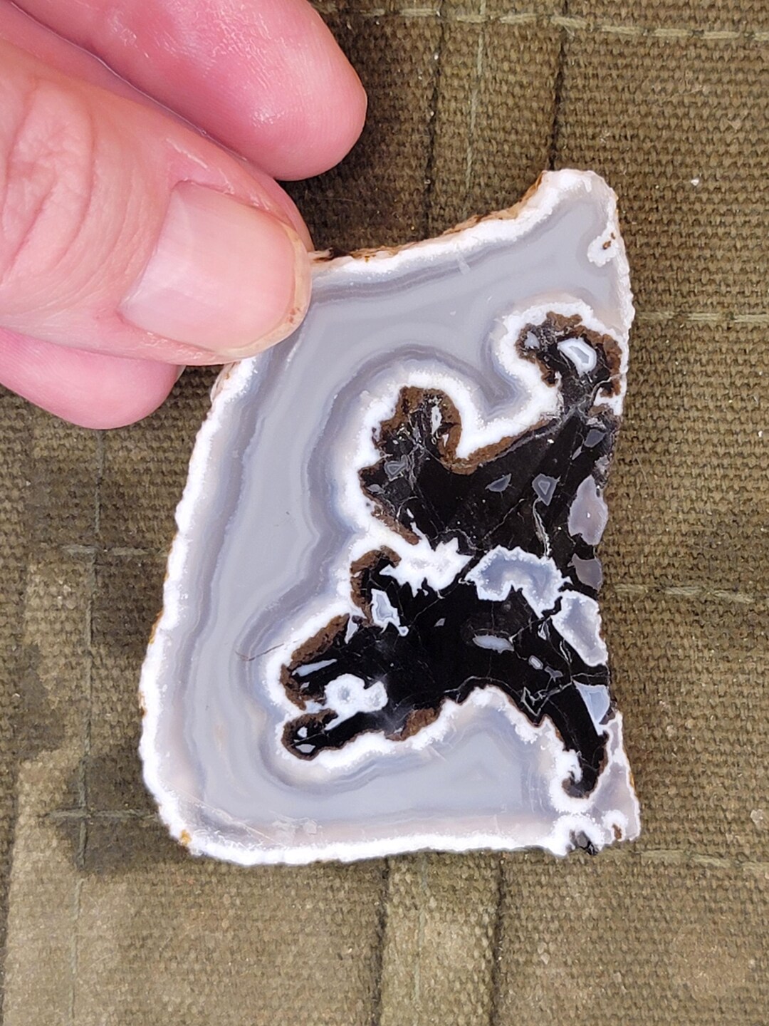 Paulina Limb Cast Agate Slab - Rock Slice - Etsy