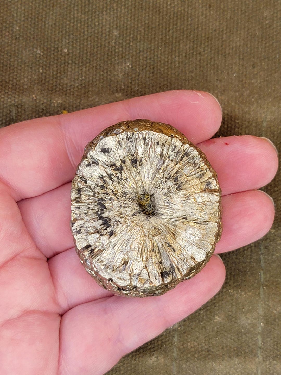 Pyrite Display Specimen or Lapidary Rough - Etsy