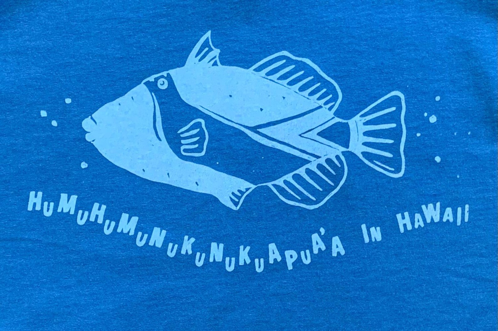 Hawaii State Fish, Humuhumunukunukuapua'a T-shirt for Kids - Etsy