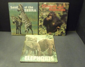 Zebra books | Etsy