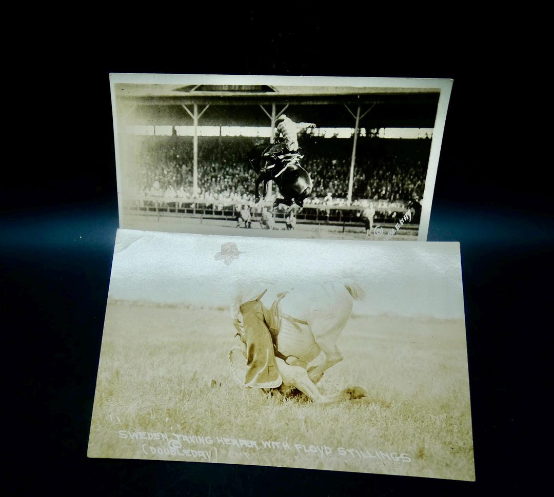 2 Postcards- 1920's R.R. Doubleday - Rodeo & Taking a Header - Etsy