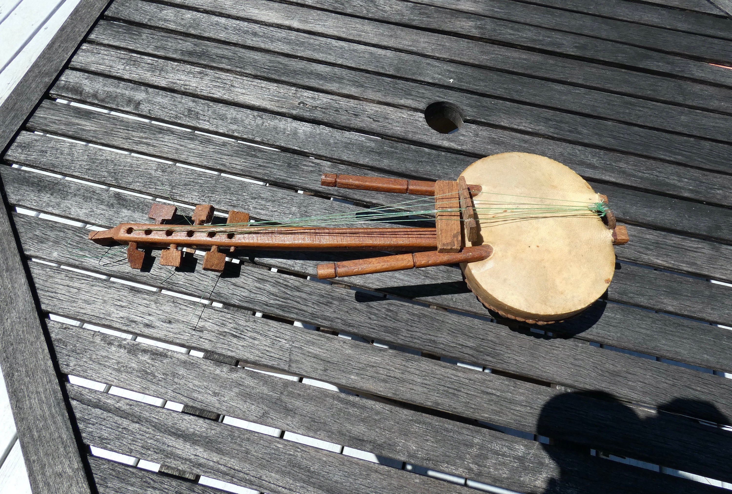 Native American String Instruments