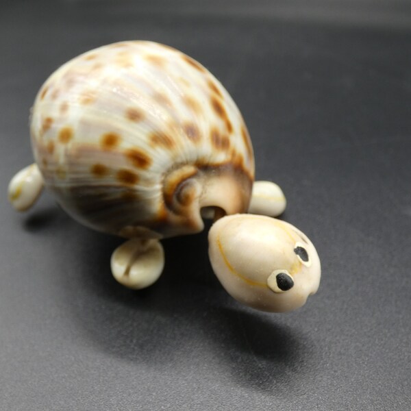 Cowrie Shell Turtle - Etsy