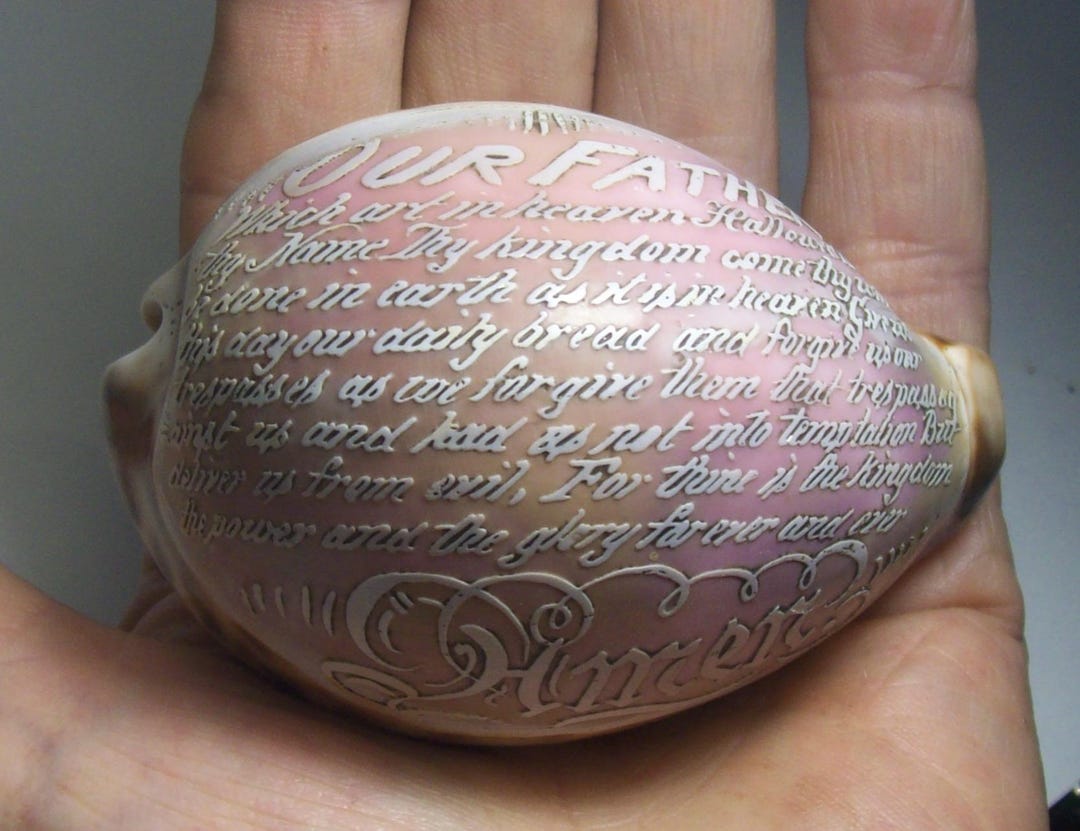 Antique Cameo Cowrie Shell With OUR Lord"s PRAYER Hand-carved in Relief ...