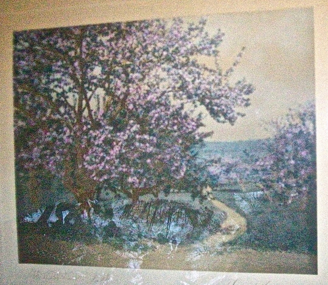 Antique Framed American Artist DAVID DAVIDSON'S Embellished PHOTOGRAPH ...