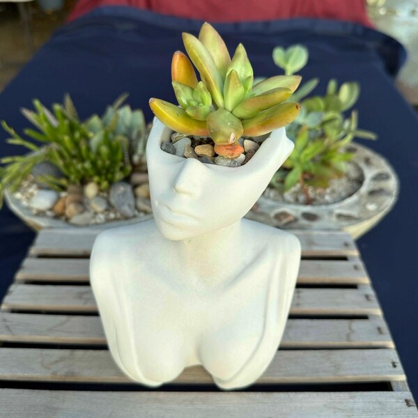 Female Body Planter - Etsy