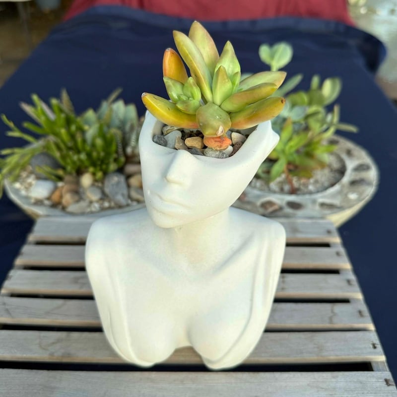 Female Body Planter - Etsy