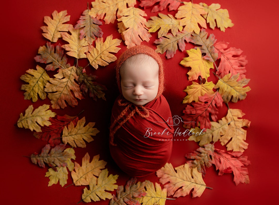 BRISTOL, Photography Backdrop, Orange Backdrop, Posing Fabric, Fabric ...