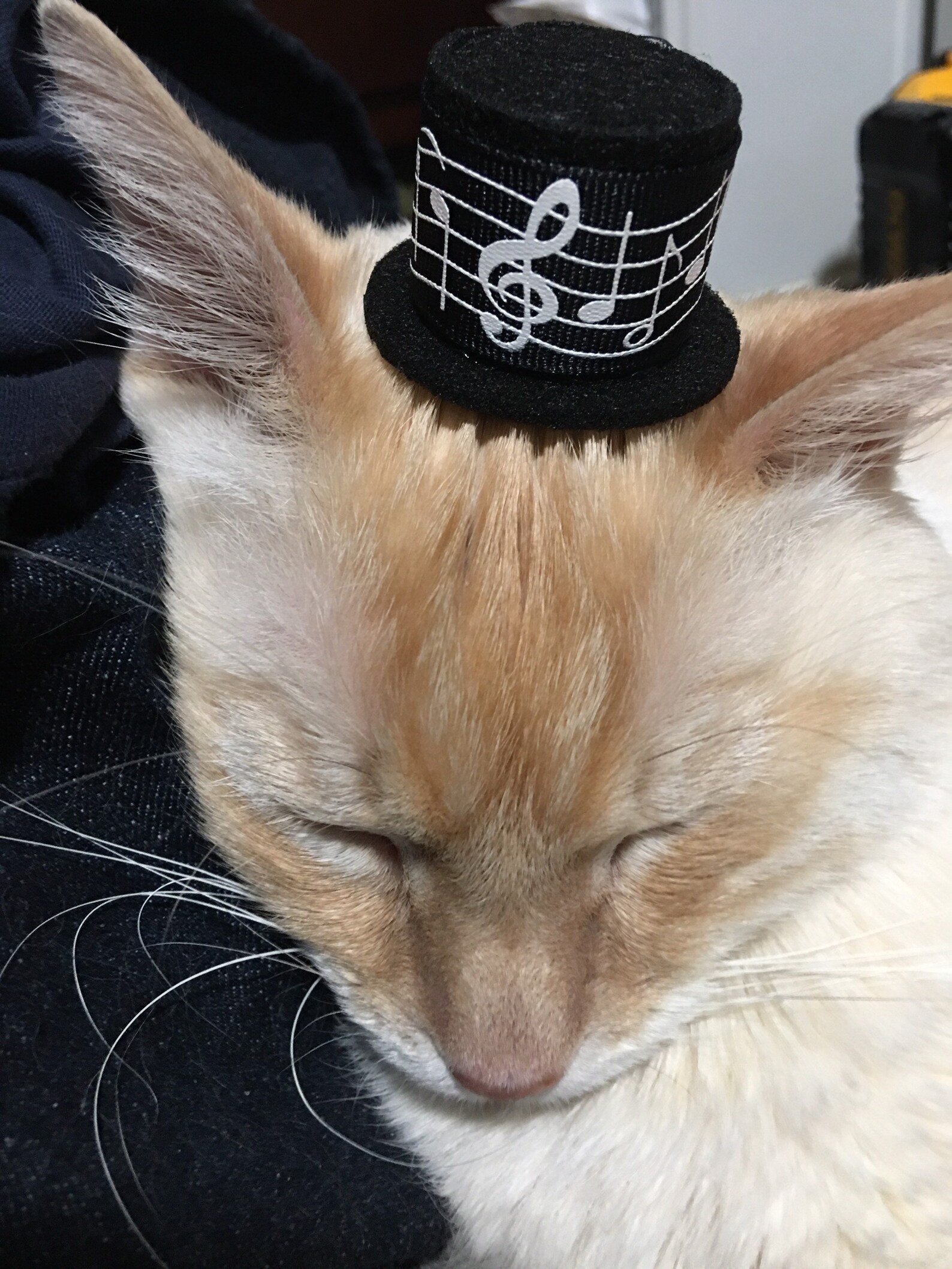 Mini Top Hat - Etsy