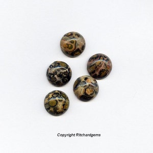 AAA 10mm Round Loose Leopard Skin Agate Cabochons for One - Etsy