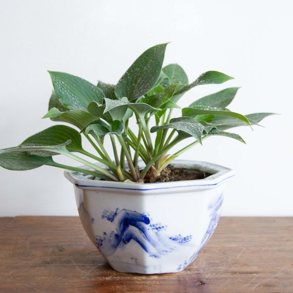 Japanese Planter - Etsy