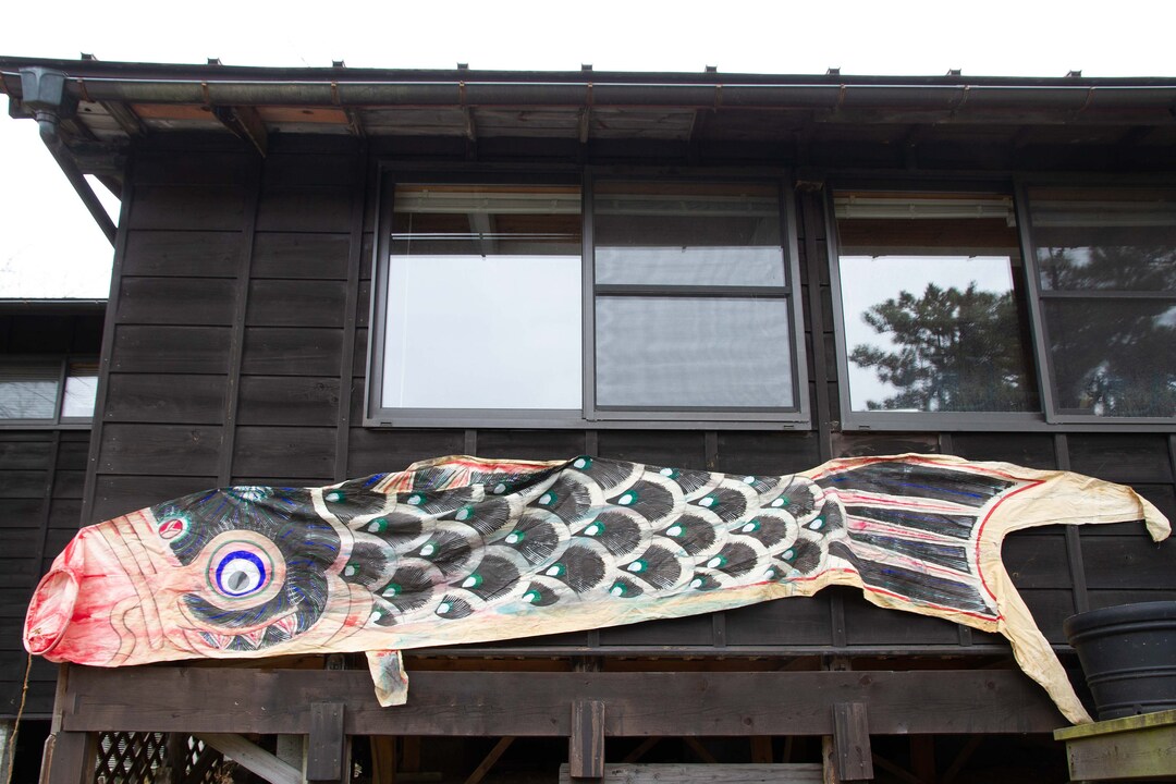 Koinobori Cotton, Japanese Koi Fish Flag, Children's Day Flag, Windsock ...