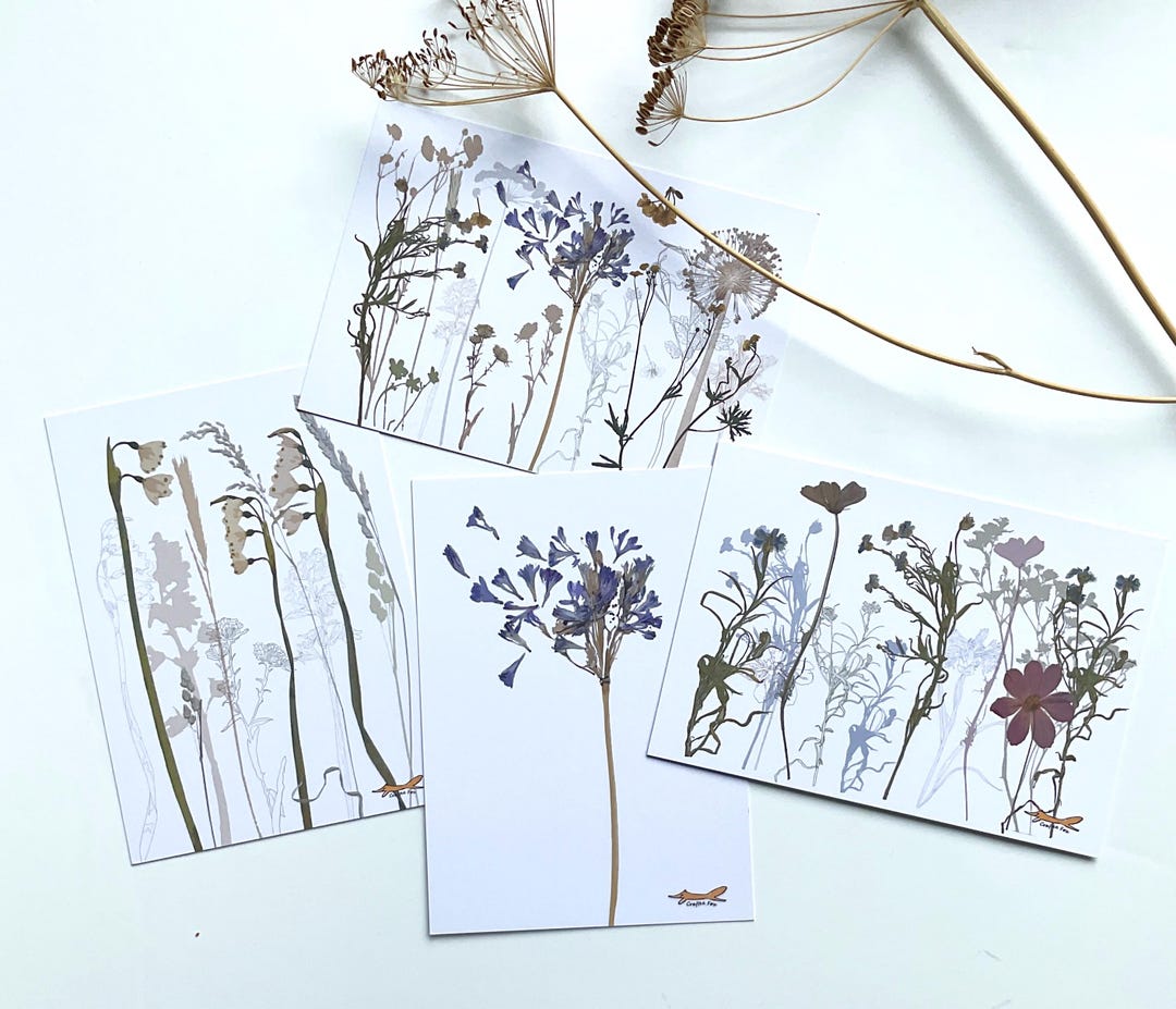 Floral Postcard Set: Dried Flower Prints, Botanical Art (A5) - Etsy