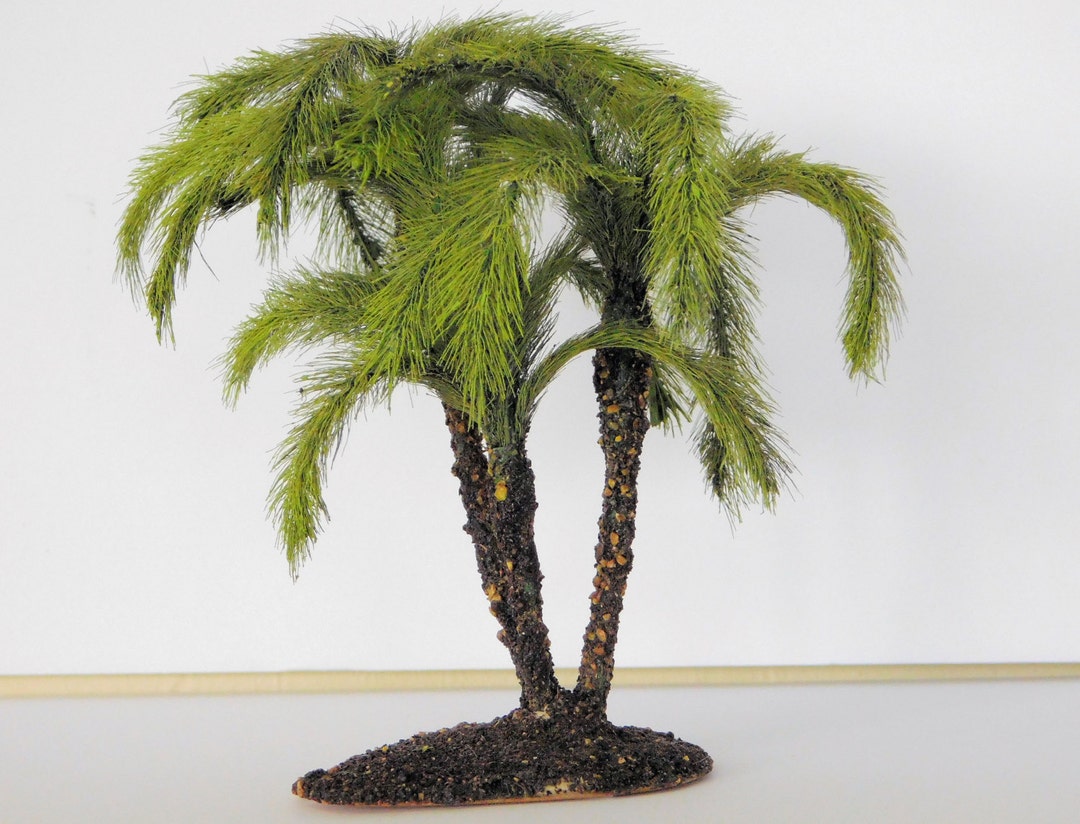 Triple Trunk Pygmy Palm 4 Inches in Height - Etsy