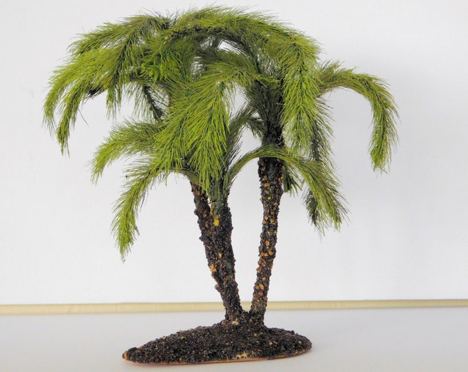 Triple Trunk Pygmy Palm 4 Inches in Height - Etsy