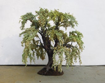 Miniature Willow Tree | Etsy