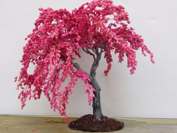 Crafted 6 Weeping Spring Tree in Bloom - Etsy