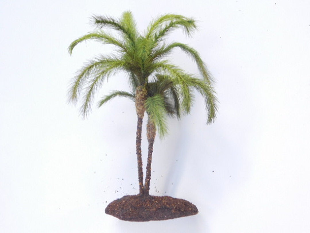 Crafted Double Trunk 7" Pygmy Palm - Etsy