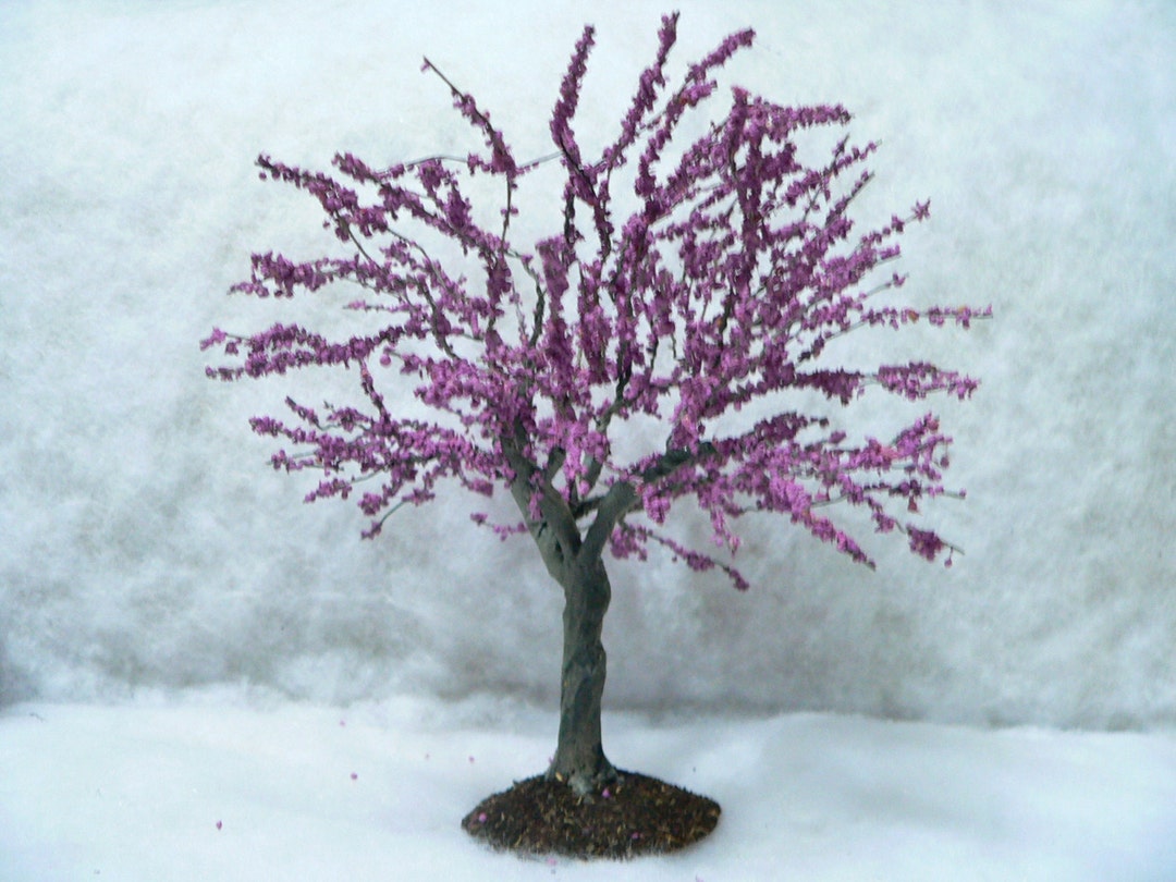 KIT: Red Bud Tree up to 4" - Etsy