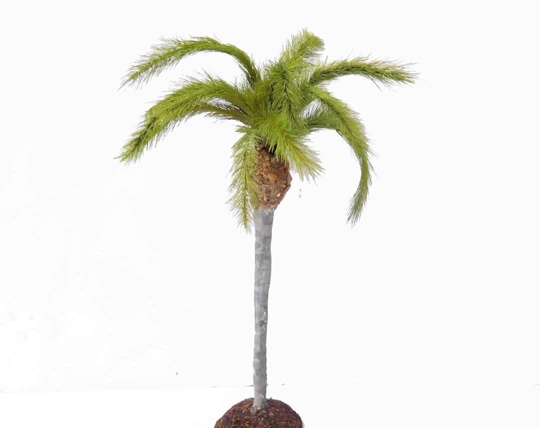 Crafted Queen Palm 7" Tall - Etsy