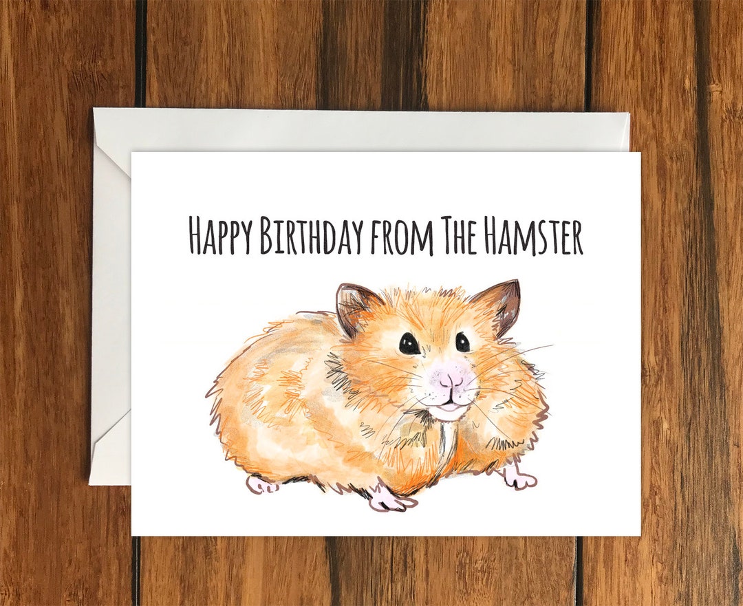 Happy Birthday Hamster One Blank Greeting Card and Envelope A6 - Etsy