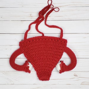 Crocheted Uterus Hanging Planter, Plant Basket, Hysterectomy Gift ...
