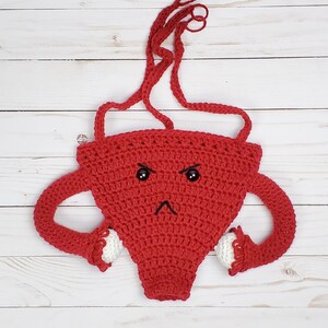Crocheted Uterus Hanging Planter, Plant Basket, Hysterectomy Gift ...