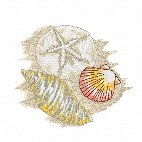 Seashells Machine Embroidery Designs Pack Instant Download 4x4 - Etsy