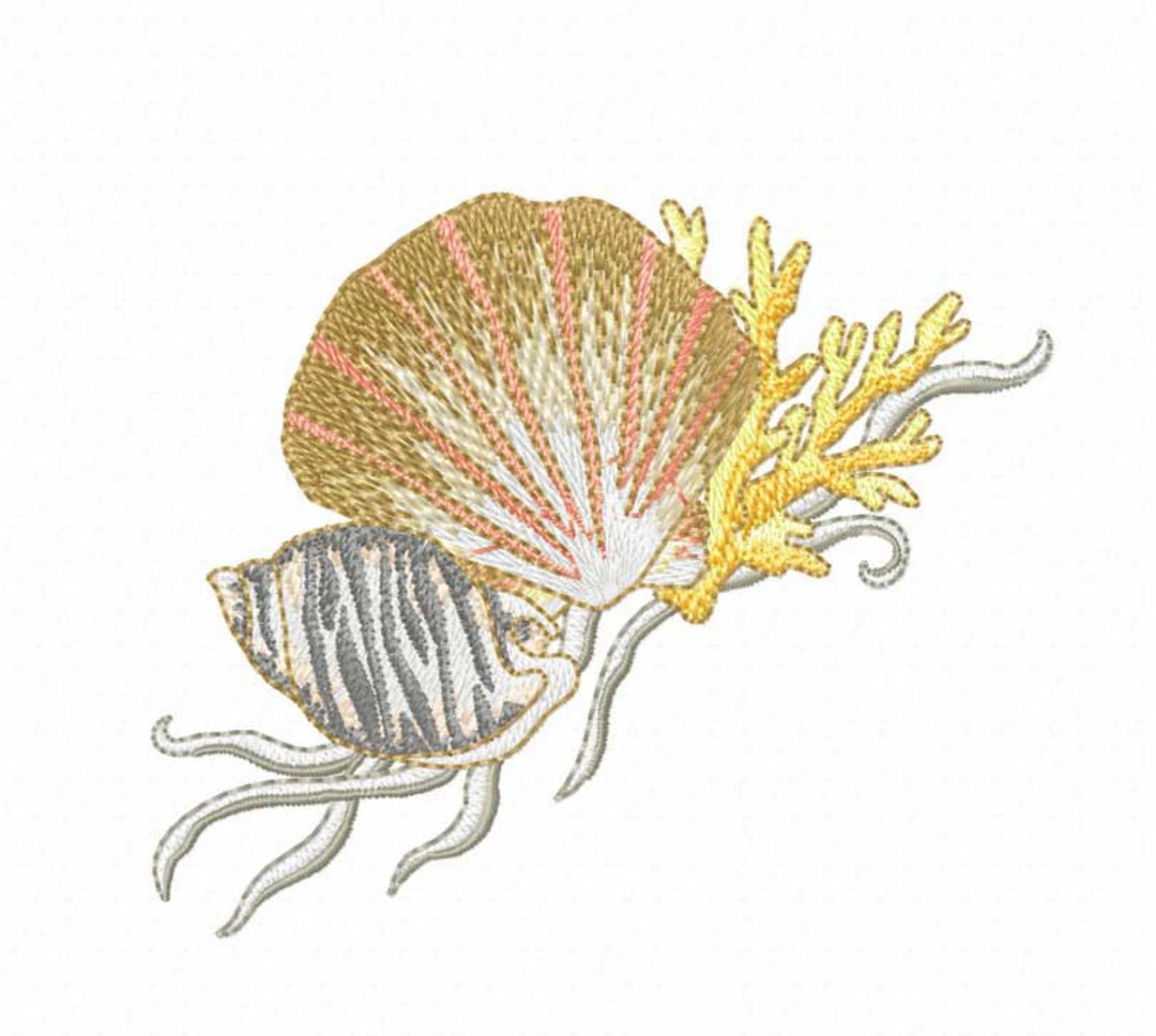 Seashells Machine Embroidery Design - Instant Digital Download - Etsy