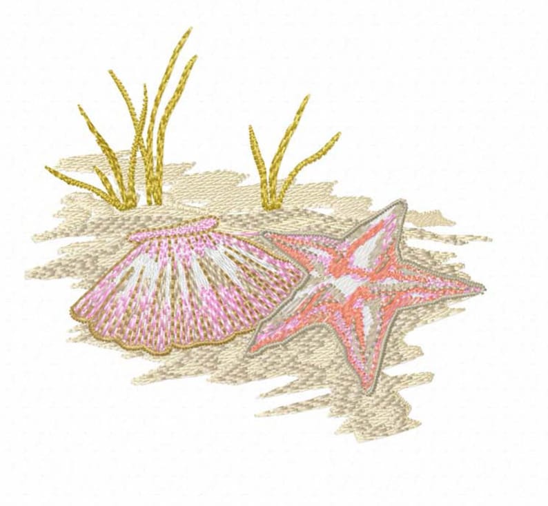 Seashells Machine Embroidery Design - Clam Shell With Starfish ...