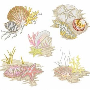 Seashells Machine Embroidery Design Collection 9 Designs in One Package ...