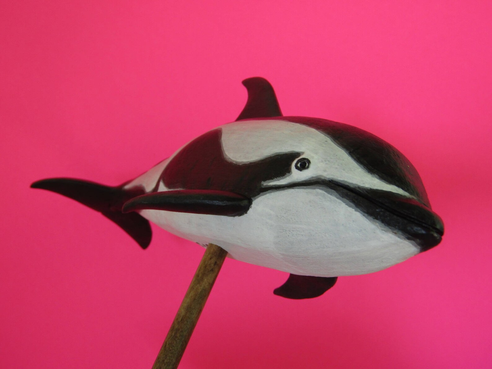Hourglass Dolphin in Recycled Hardwood - Etsy