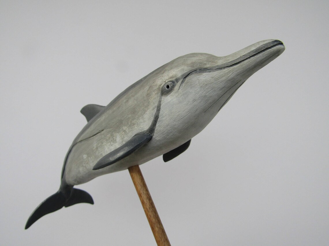 Australodelphis Mirus 2 | Etsy