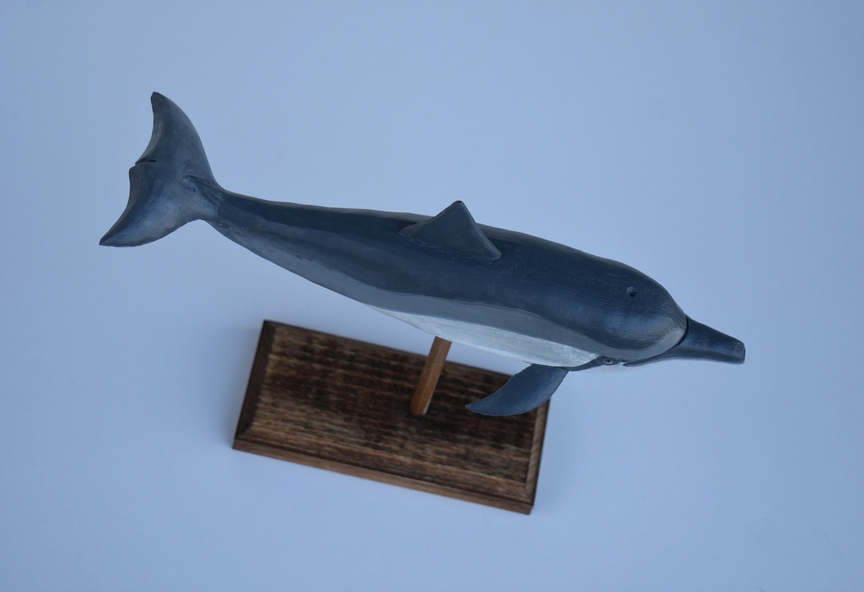 Long Snouted Spinner Dolphin