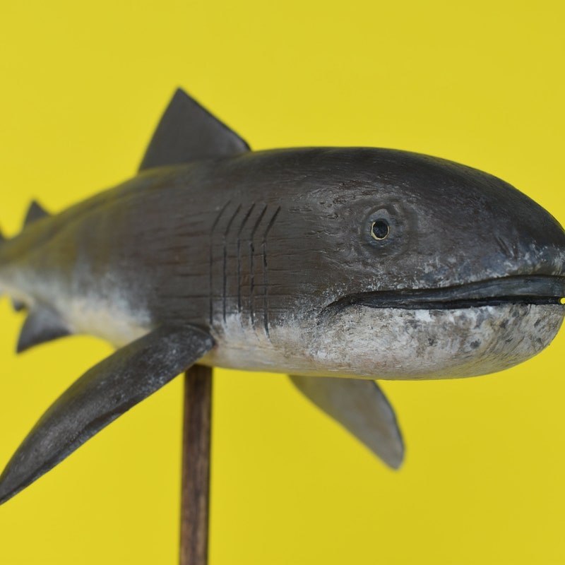 Shark Carving - Etsy