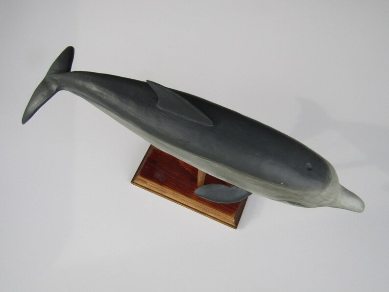 Australodelphis Mirus 2 - Etsy