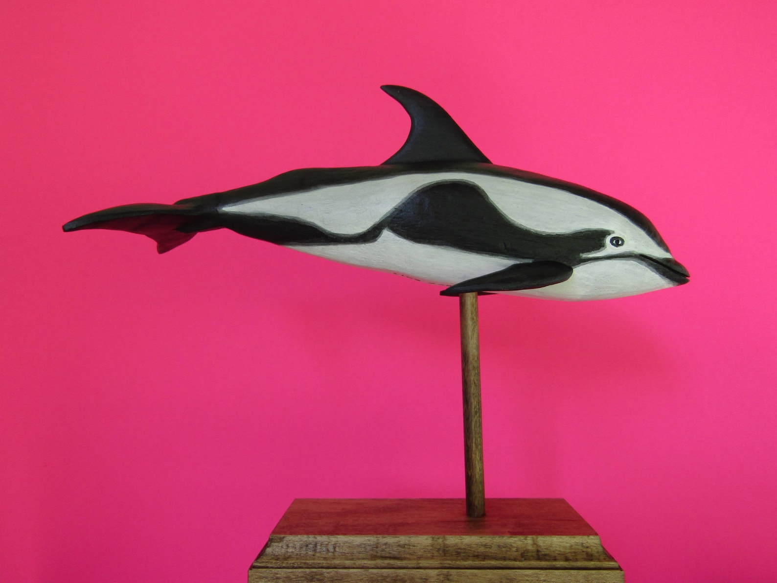 Hourglass Dolphin in Recycled Hardwood - Etsy