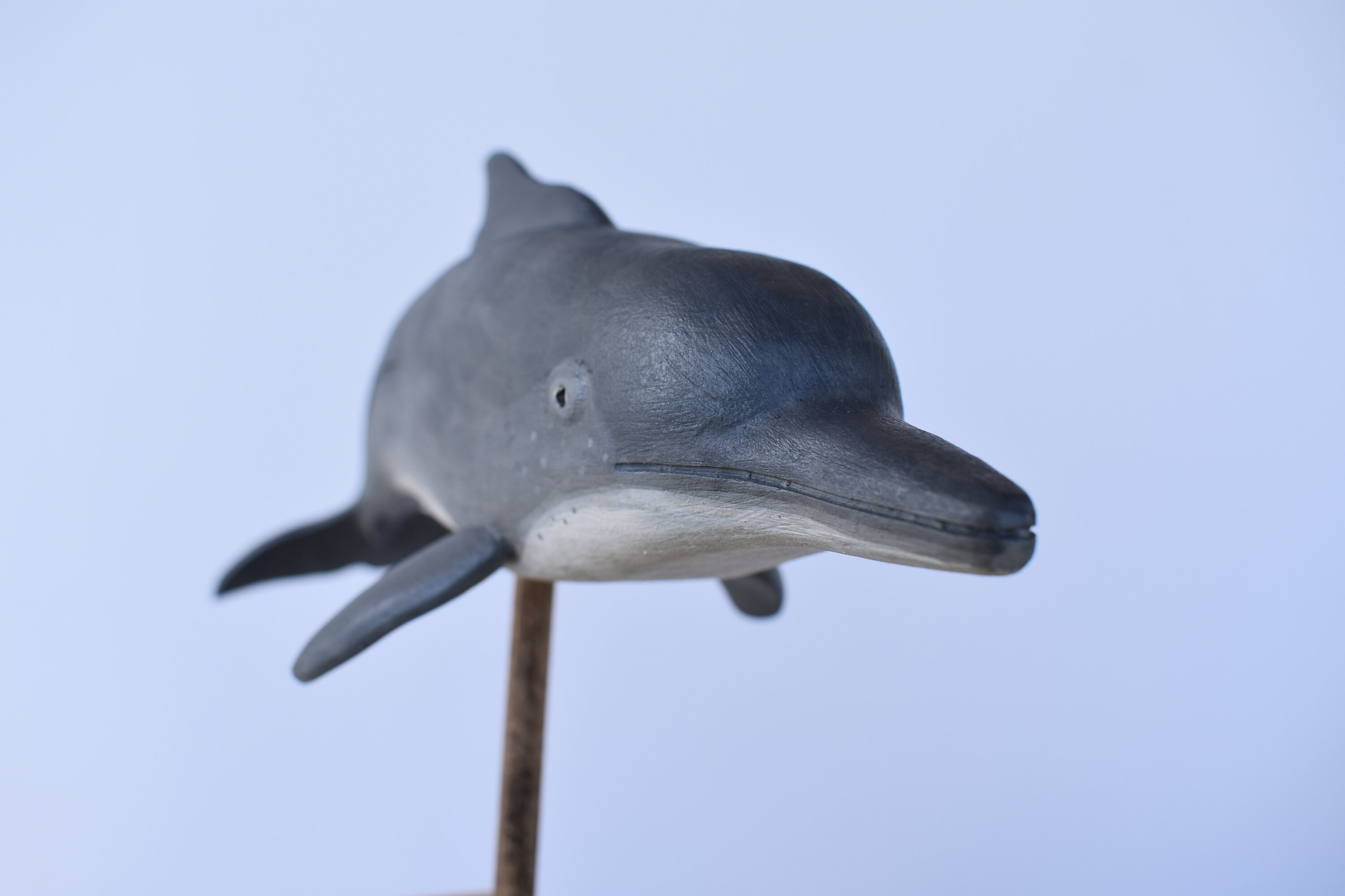 Atlantic Hump-backed Dolphin in Recycled Hardwood #3 - Etsy.de
