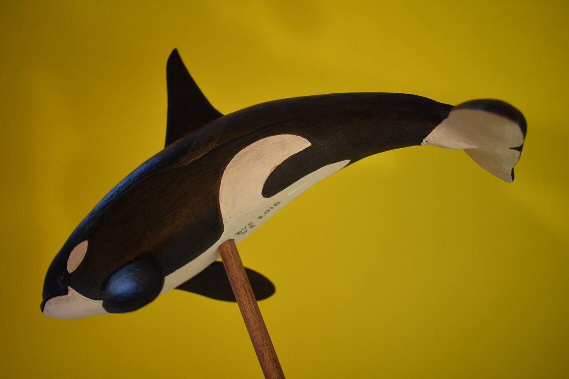 Orca Type C in Rescued Hardwood 3 - Etsy