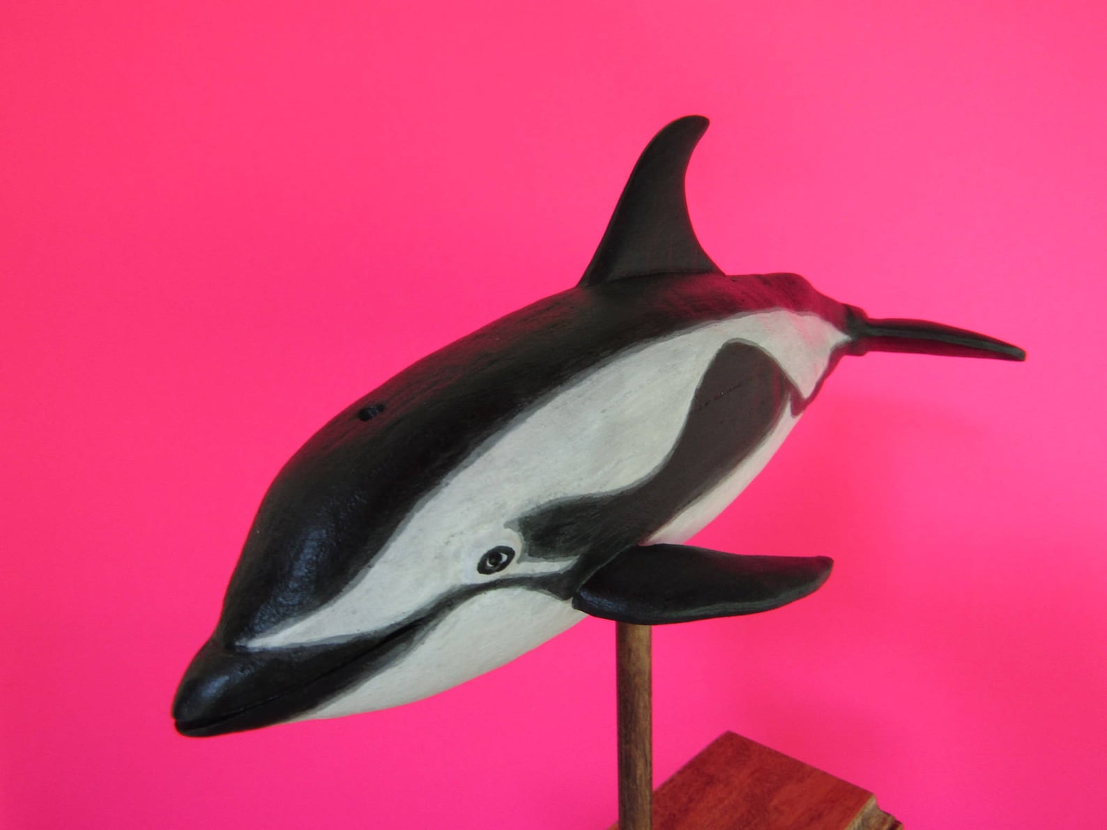 Hourglass Dolphin in Recycled Hardwood - Etsy