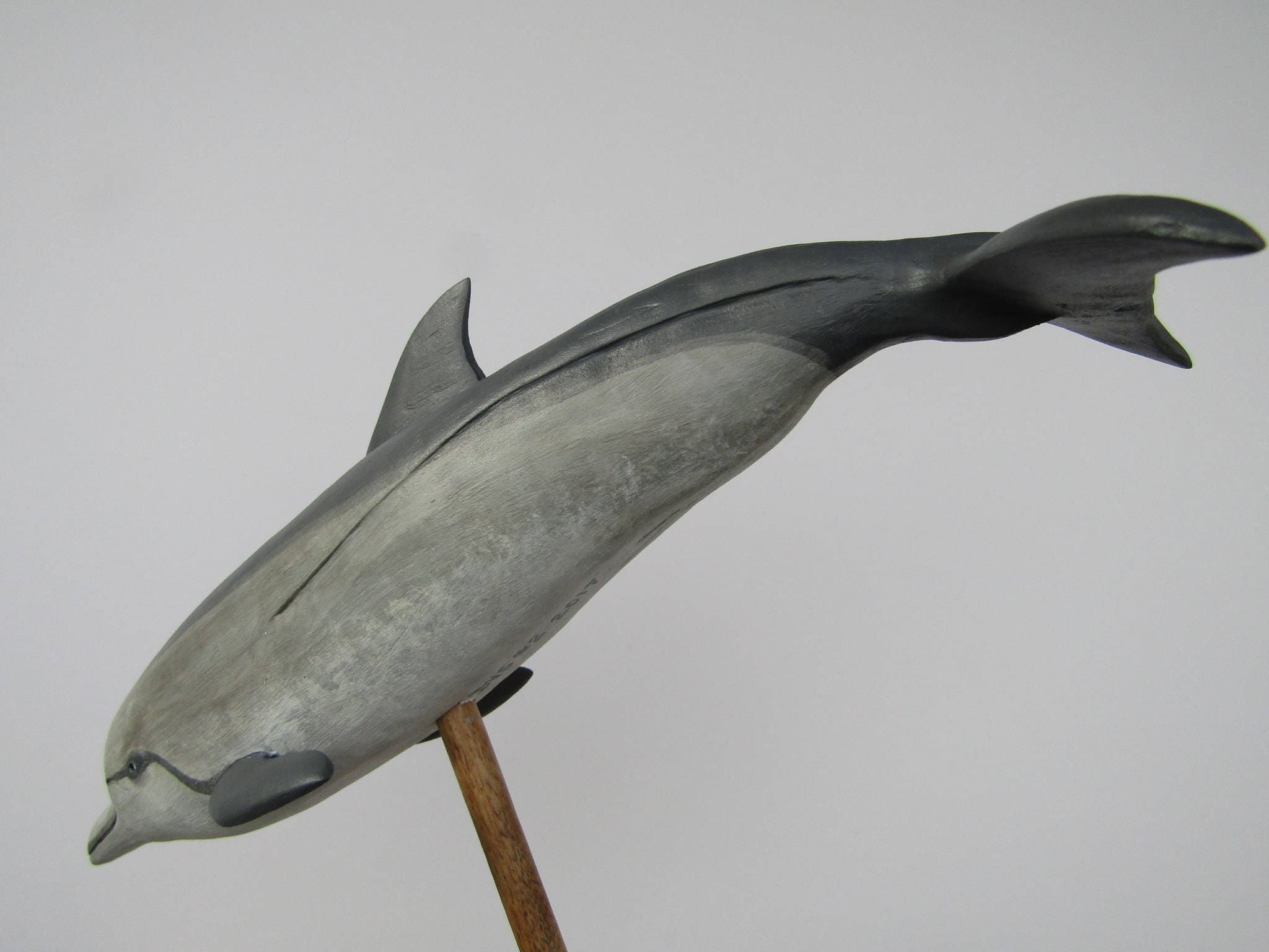 Australodelphis Mirus 2 - Etsy