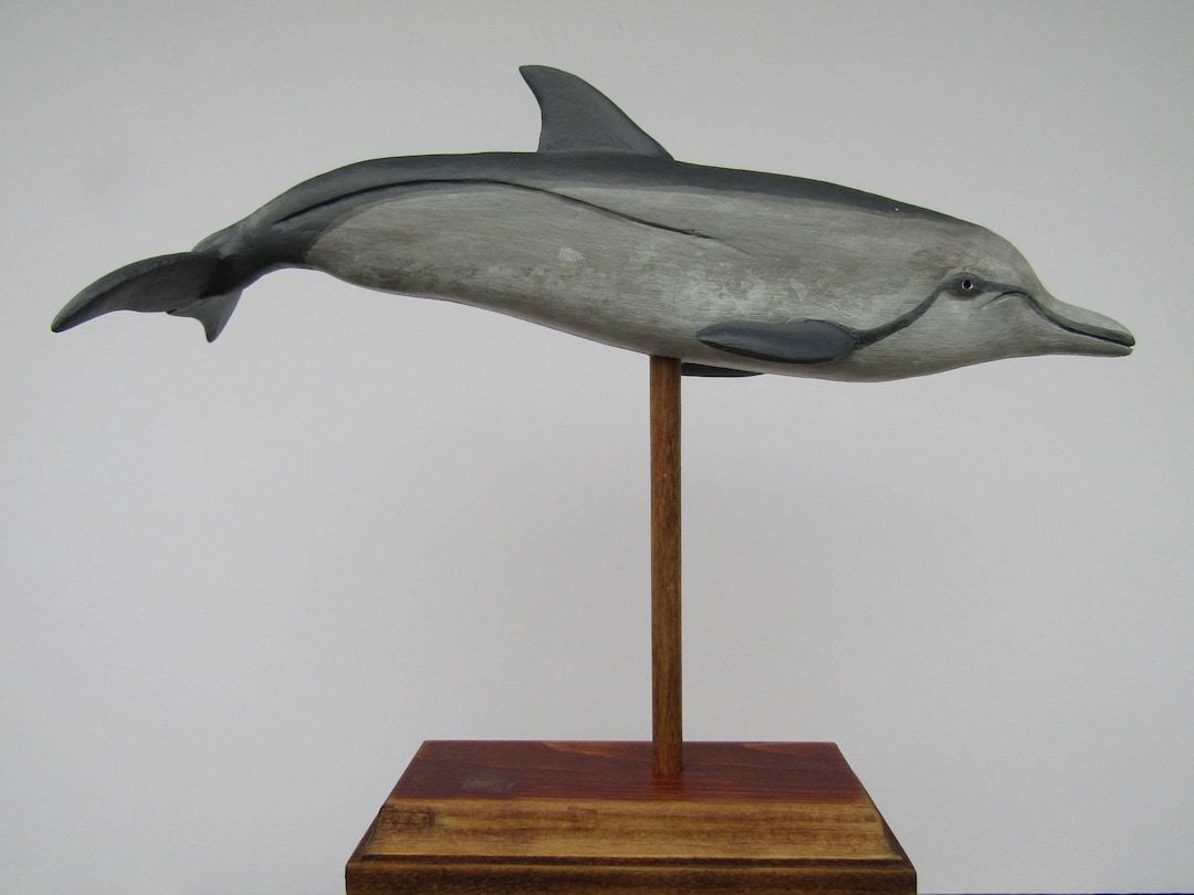 Australodelphis Mirus #2 - Etsy