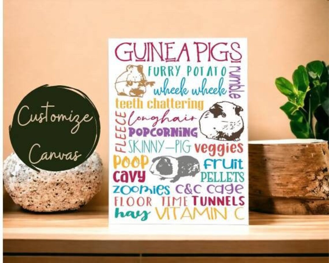 Guinea Pig Word Art Canvas: Custom Pet Sign - Etsy