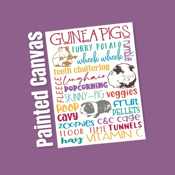 Guinea Pig Sign Canvas Small Animal Pet Sign Guinea Pig - Etsy